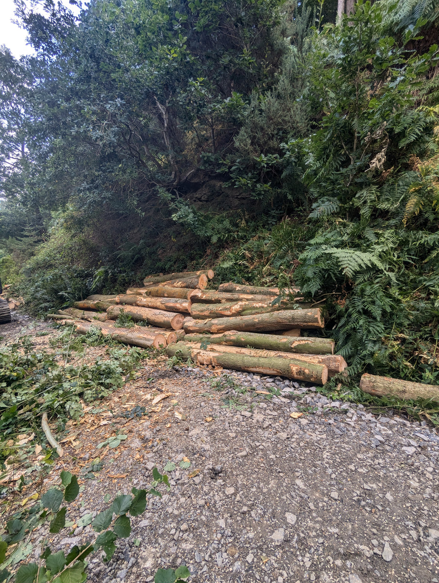 Kiln Dried Ash – Tees Valley Firewood